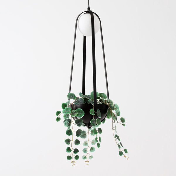 Bailey Pendant with Planter Black G9 IP20 L: 200mm x W: 200mm H: 600mm ...